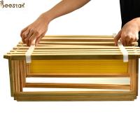 China Plastic Frame Spacer for Beehive 36.5cm Eco-friendly Beekeeping Equipment for sale