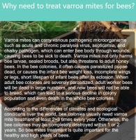 China New Wang's Manpulike Strip Bee Medicine Fluvalinate Material 10 Strips Per Bag for sale