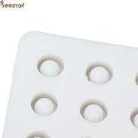 China Silicone Mold Queen Rearing Beekeeping Kits For Queen Cells Nicot System for sale