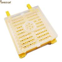 China Plastic Jenter Type Queen Rearing System Bee Friendly Queen Breeding Tool Kit Beekeeping Tools for sale