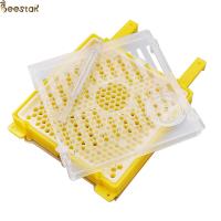 China Plastic Jenter Type Queen Rearing System Bee Friendly Queen Breeding Tool Kit Beekeeping Tools for sale