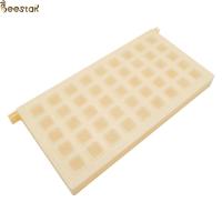 China Plastic Queen Bees Storage Box with 45 Queen Bees Capacity for Beekeeping Equipment for sale