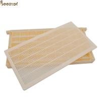 China Plastic Queen Bees Storage Box with 45 Queen Bees Capacity for Beekeeping Equipment for sale