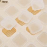 China Plastic Queen Bees Storage Box with 45 Queen Bees Capacity for Beekeeping Equipment for sale