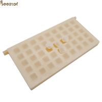 China Plastic Queen Bees Storage Box with 45 Queen Bees Capacity for Beekeeping Equipment for sale