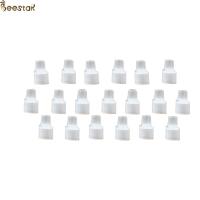 China Beekeeping Equipment Apiculture Tool White Queen Bee Cell Cover for sale