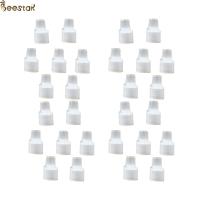 China Beekeeping Equipment Apiculture Tool White Queen Bee Cell Cover for sale