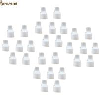 China Beekeeping Equipment Apiculture Tool White Queen Bee Cell Cover for sale