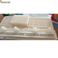 China Apiculture Tools Beehive Accessories Queen Bees Storage Box And Beehive Pollen Trap for sale