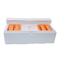 China High Strength EPS Double Nuc Boxes Polystyrene Two Bee Queen Rearing Mating Nucs for sale
