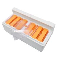 China High Strength EPS Double Nuc Boxes Polystyrene Two Bee Queen Rearing Mating Nucs for sale
