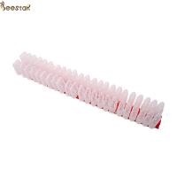 China Convenient Beekeeping Equipment Queen Cage No Need To Transfer Bee Larvae for sale