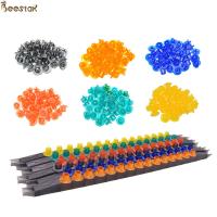 China Plastic Queen Rearing Frame Kit with Cell Bar Cups Cell Cells Holder for sale