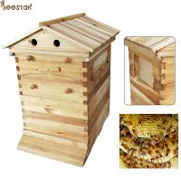 China Automatic Self Flowing Flow Hive with Chinese Fir Wood for Beekeeping - Unassembled Langstroth Hive for sale