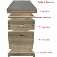 China High Quality Chinese Fir Wood Bee Hive Easy To Assemble Natural Material Dadant Beehive for sale