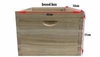 China High Quality Chinese Fir Wood Bee Hive Easy To Assemble Natural Material Dadant Beehive for sale