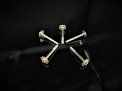 China Industrial CNC Hardware Parts Centering Machine Processing Parts Mobile Nut Screw for sale
