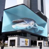 China High Performance Outdoor Naked Eye 3D LED Display P4 P5 P6 P8 P10 Full Color 3D Effect LED Screen Billboard for Advertising for sale