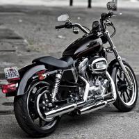 China Motorcycle Seat Cushion Harley Iron Sportster XL883 XL883N XL1200 Custom 2004-2015 5 Styles Selectable for sale