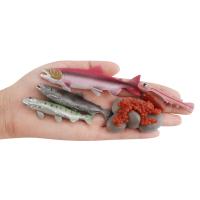 China 5 PCS Sea Marine Animal Figures Ocean Creatures Action Figure Models Life Cycle Salmon Fish Figurine for Boys Girls Kids for sale