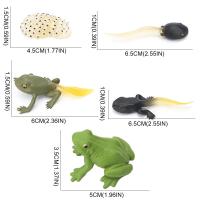China 5 PCS Frog Animal Life Cycle Model Toy Cake Toppers Learning Development Toys for Boys Girls Kids for sale