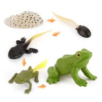 China 5 PCS Frog Animal Life Cycle Model Toy Cake Toppers Learning Development Toys for Boys Girls Kids for sale