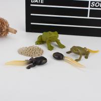 China 5 PCS Frog Animal Life Cycle Model Toy Cake Toppers Learning Development Toys for Boys Girls Kids for sale