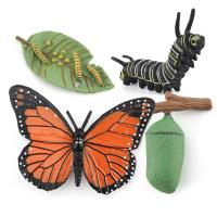 China Realistic 4 PCS Butterfly Animal Life Cycle Insect Growth Model Toys Party Favors Toy for Boys Girls Kids for sale