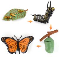 China Realistic 4 PCS Butterfly Animal Life Cycle Insect Growth Model Toys Party Favors Toy for Boys Girls Kids for sale
