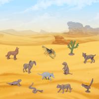 China Desert Wild Animal Models 11 PCS Mini Cactus Armadillo Snake Lynx Wolf Scorpion Marmot Figurines Toy for Boys Girls Kids for sale