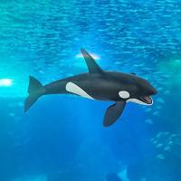 China Sea Animal Figures Model Killer Whales Kid Party Favors Toys Figurine Model Educational Decoration Toy for Kid Children for sale