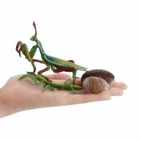 China 4 PCS Realistic Insect Mantis Animal Life Cycle Model Figure Cake Toppers Learning Development Toys for Boys Girls Kids for sale