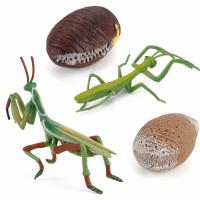 China 4 PCS Realistic Insect Mantis Animal Life Cycle Model Figure Cake Toppers Learning Development Toys for Boys Girls Kids for sale