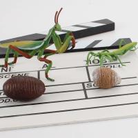 China 4 PCS Realistic Insect Mantis Animal Life Cycle Model Figure Cake Toppers Learning Development Toys for Boys Girls Kids for sale