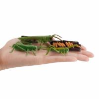 China 4 PCS Realistic Insect Locust Animal Life Cycle Model Figure Cake Toppers Learning Development Toys for Boys Girls Kids for sale