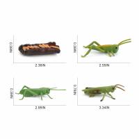 China 4 PCS Realistic Insect Locust Animal Life Cycle Model Figure Cake Toppers Learning Development Toys for Boys Girls Kids for sale
