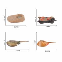 China 4 PCS Sea Marine Animal Figures Ocean Creatures Action Models Life Cycle Horseshoe Crab Figure for sale