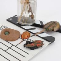 China 4 PCS Sea Marine Animal Figures Ocean Creatures Action Models Life Cycle Horseshoe Crab Figure for sale