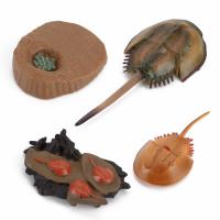 China 4 PCS Sea Marine Animal Figures Ocean Creatures Action Models Life Cycle Horseshoe Crab Figure for sale