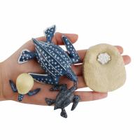 China 4 PCS Ocean Sea Marine Animal Model Figures Life Cycle Turtle Leatherback Figure for sale