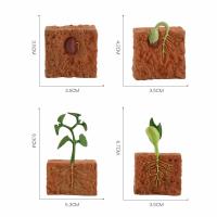 China 4 PCS Farm Plant Life Cycle Model Figure Cake Toppers Learning Development Toys For Boys Girls Kids for sale