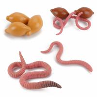 China 4 PCS Earthworm Farm Animal Life Cycle Model Figure Figurine Statue Set for sale