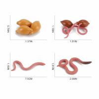 China 4 PCS Earthworm Farm Animal Life Cycle Model Figure Figurine Statue Set for sale