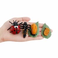 China 4 PCS Ladybird Animal Life Cycle Insect Growth Model Figure Cake Toppers Learning Development Toys For Boys Girls Kids for sale