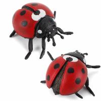 China 4 PCS Ladybird Animal Life Cycle Insect Growth Model Figure Cake Toppers Learning Development Toys For Boys Girls Kids for sale