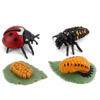 China 4 PCS Ladybird Animal Life Cycle Insect Growth Model Figure Cake Toppers Learning Development Toys For Boys Girls Kids for sale