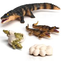China 4 PCS Wild Wildlife Animal Figures Creatures Action Models Life Cycle Crocodile Alligator Figure for sale
