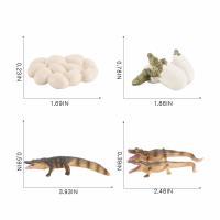 China 4 PCS Wild Wildlife Animal Figures Creatures Action Models Life Cycle Crocodile Alligator Figure for sale