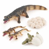 China 4 PCS Wild Wildlife Animal Figures Creatures Action Models Life Cycle Crocodile Alligator Figure for sale