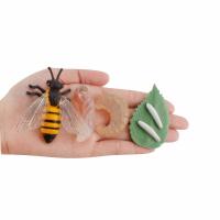 China Realistic 4 PCS Bee Animal Life Cycle Insect Growth Model Figure Cake Toppers Toys For Boy Girl Kid for sale